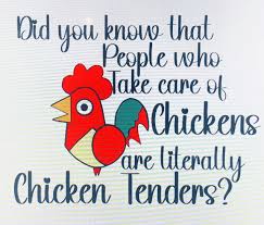 Kids College Chickens Hatching | Kids College